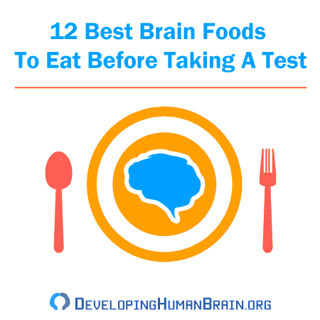 12 Best Brain Foods to Eat Before Taking a Test