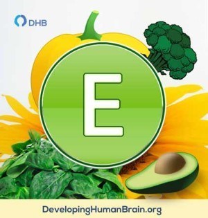 7 Best Natural Vitamins for Memory and Focus