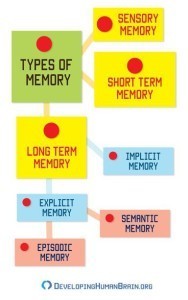 Alexander Lynch's Memory Healer Program Review