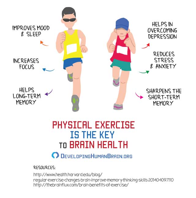 15 Best Brain Exercises To Prevent Alzheimer s And Dementia 15 Best Brain Exercises To Prevent Alzheimer s And Dementia