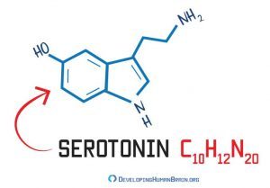 The Mystery of Serotonin: Can It Really Make You Happy?