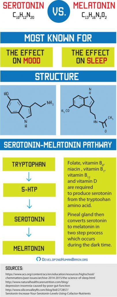 The Mystery of Serotonin: Can It Really Make You Happy?