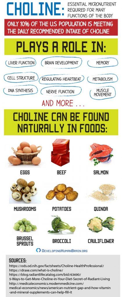 Is Alpha GPC Really the Best Choline Source for Your Brain?