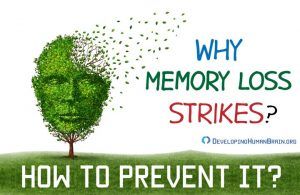 Why Memory Loss Strikes and How to Prevent It?