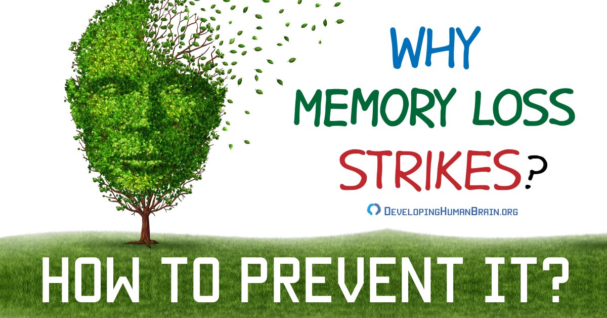 Why Memory Loss Strikes and How to Prevent It?
