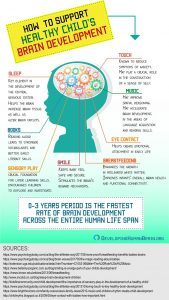 Your Brain Structure – What is the Brain Made Of?