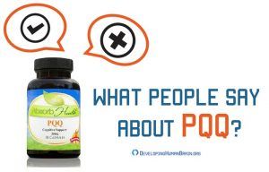 PQQ (Pyrroloquinoline Quinone) Review