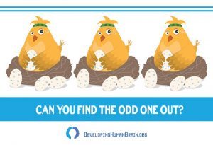 Which is the Odd One Out? Can You Spot the Differences? [13 Riddles]