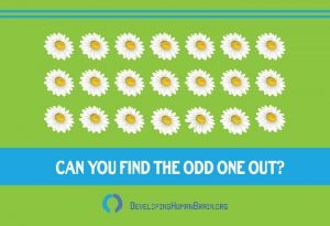 Which is the Odd One Out? Can You Spot the Differences? [13 Riddles]