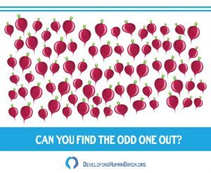 Which is the Odd One Out? Can You Spot the Differences? [13 Riddles]