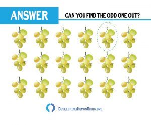Which is the Odd One Out? Can You Spot the Differences? [13 Riddles]