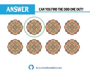 Which is the Odd One Out? Can You Spot the Differences? [13 Riddles]