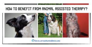 Why Animal-Assisted Therapy is Important and How to Benefit From It